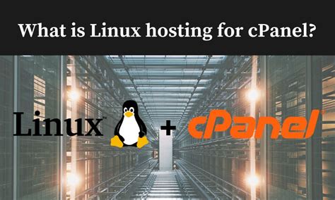 What Is Linux Hosting With Cpanel Elitewebco Usa