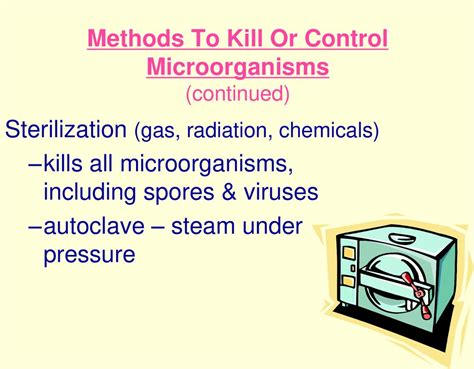 Sterilization Kill Spores At Indiana Brownless Blog