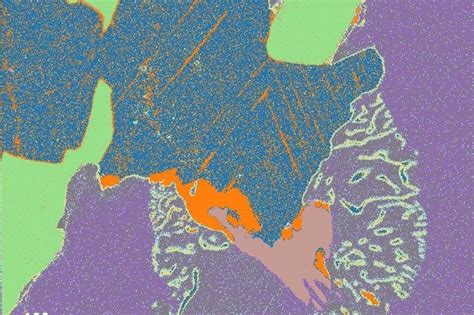 Earthchem Geo Microscopy