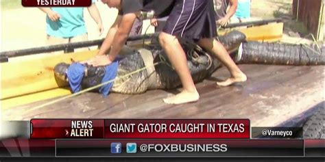 Foxbusinessnetwork20161014101357 Fox News Video