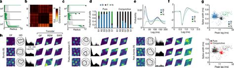 differential toroidal tuning of grid cell subpopulations a barcode of