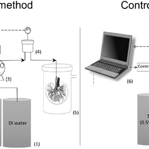 Schematic Diagram Of The Decellularization Apparatus For Improved Download Scientific Diagram