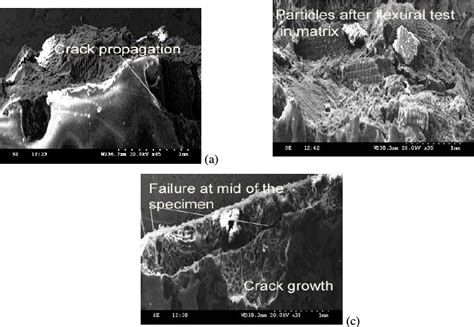 Effect Of Particulate Content On Flexural Strength Of Bio Composites Download Scientific Diagram