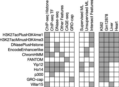 Eleven Diverse Enhancer Identification Strategies Were Evaluated Across