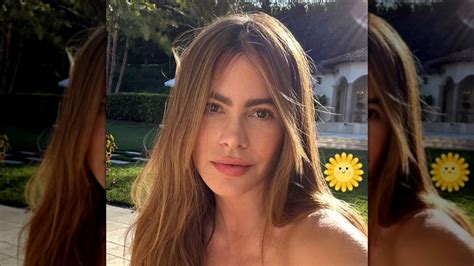 Sofia Vergara Looks So Different Makeup Free