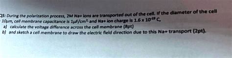 25 During The Polarization Process 2m Na Ions Are Transported Out