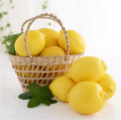 【php】文字列検索のsql文・likeでプレースホルダを使用する れもんノート 【php】文字列検索のsql文・likeでプレースホルダを使用する れもんノート