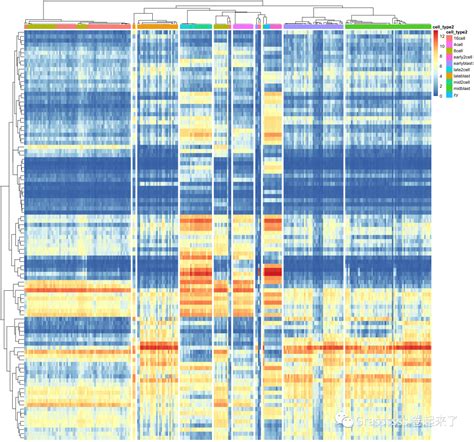 🤩 Scrna Seq 吐血整理的单细胞入门教程（共识聚类）（十二） 腾讯云开发者社区 腾讯云