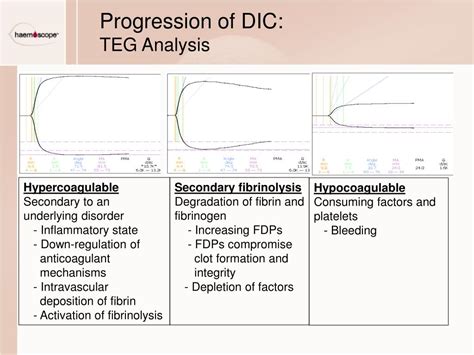 Ppt Module 5 Powerpoint Presentation Free Download Id583239