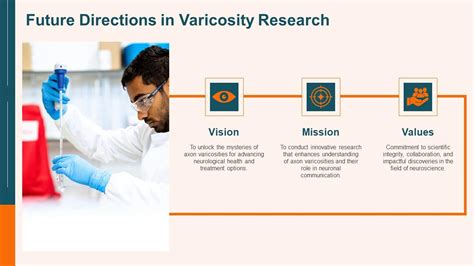 Future Directions In Varicosity Research Axon Varicosities Ppt