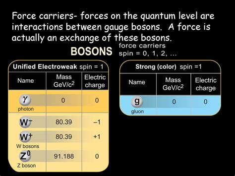 What Is A Force Carrier Particle At Janita Huang Blog