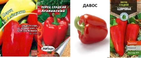 Лучшие сорта перцев для теплицы из поликарбоната в 2025 году с фото и ...