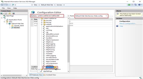 Enabling WebSocket Protocol Bizview