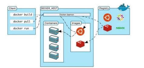 Introduction To Docker And Docker Compose Techartifact