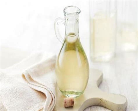 मकड़ी के जाले से हैं परेशान तो इस तरह हमेशा के लिए हटाएं Easy Tips To Remove Spiders And