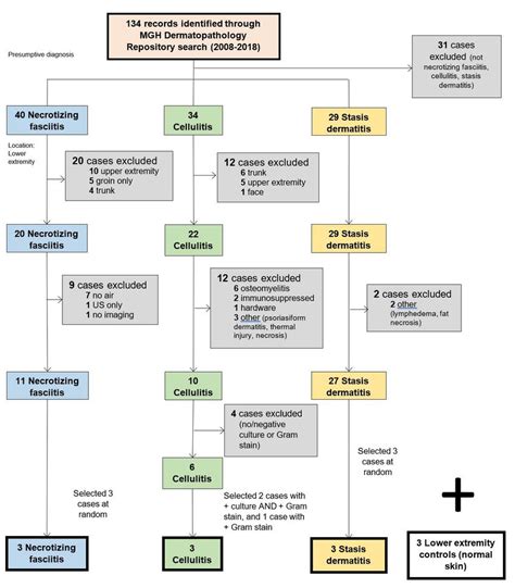 Flowchart Of Case Selection For Small Scale Pilot Study Download
