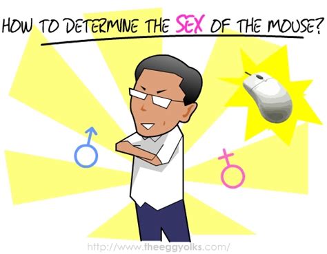NoMu BoGoSHiPo How To Determine The SEX Of A Mouse