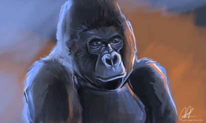 Explore The Best Harambe Art Deviantart