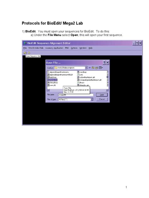 Protocols For Bioedit Pdf Nucleic Acid Sequence Phylogenetic Tree