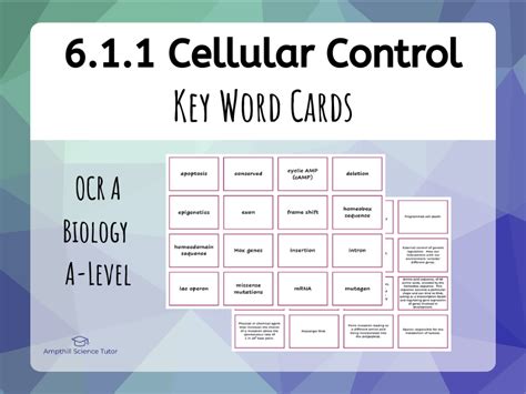 Cellular Control Ocr Key Words Teaching Resources