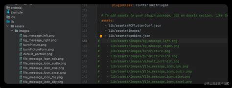 Flutter中plugin开发之私有库和本地库本文主要记录下plugin开发中的一些问题记录以及本地库和私有库使用1 掘金