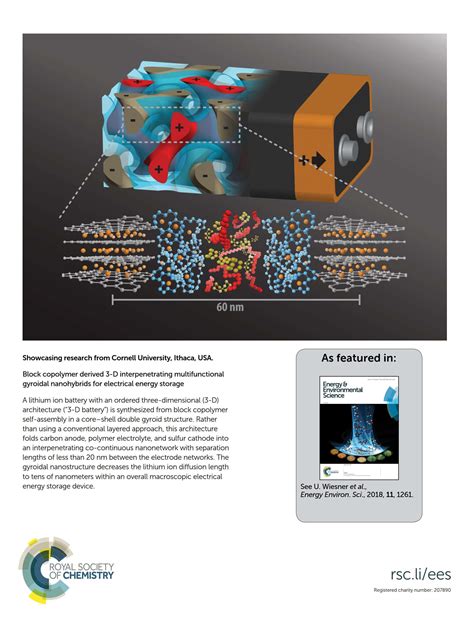 17block Copolymer Derived 3 D Interpenetrating Multifunctional