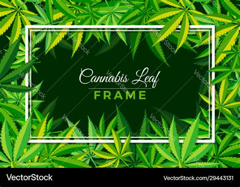 Cannabis Frame Vector Images Over 1300