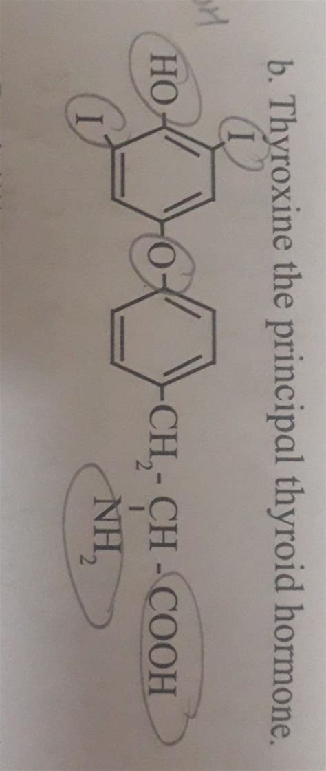 Functional Group In Thyroxine