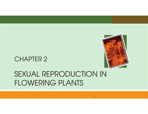 Solution 3 Sexual Reproduction In Flowering Plants Ppt Autosaved