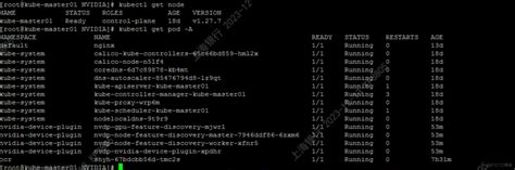 nvidia a100 pcie 40gb k8s device plugin install in kubernetes 爱死亡机器人的技术
