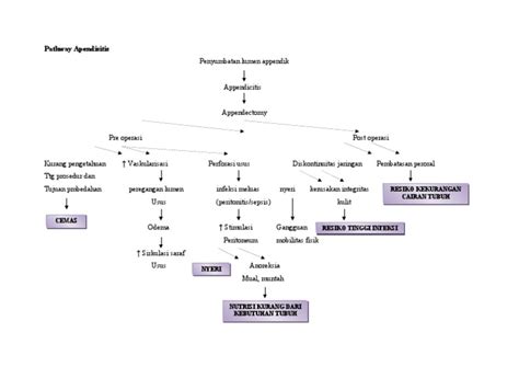 Pathway Apendisitis Pdf