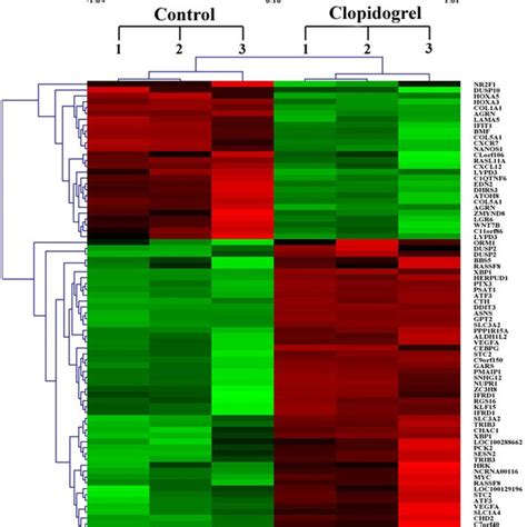 microarray analysis for the differentially expressed genes involved in