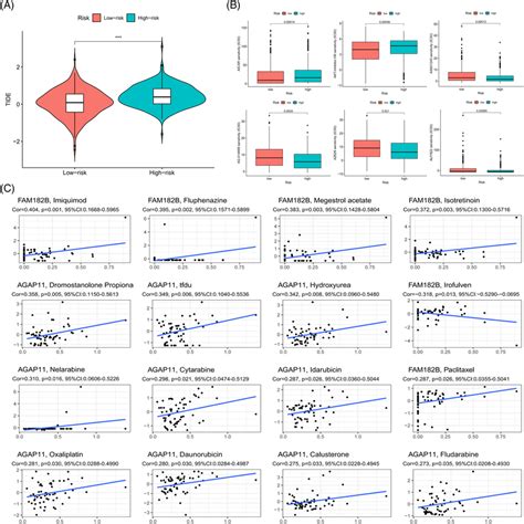 immune‐targeted drug prediction of model genes a comparison of tide
