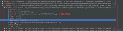 人工智能学习07 pytorch20 目标检测：coco数据集介绍 pycocotools简单使用 csdn博客