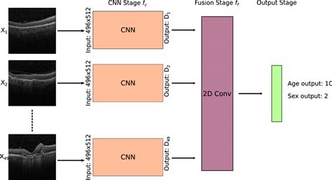 Overview Of The Cscan Method Features Of Every Independant Bscan Are