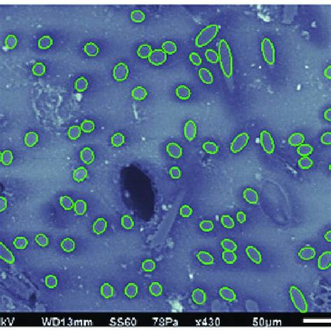 Sem Images A Before Plasma Etching And B After Plasma Etching A
