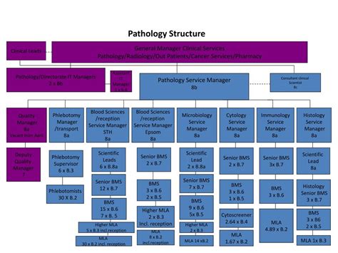 Ppt Pathology Structure Powerpoint Presentation Free Download Id