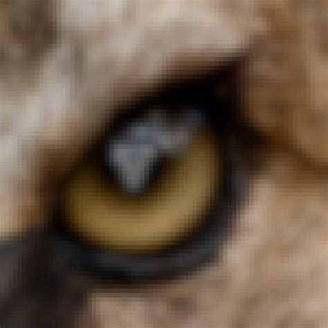 Best System Design Courses And Certificates 2025 Coursera Learn Online