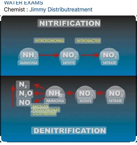 Jimmy Abdalla On Linkedin Whats The Difference Between The Nitrification And Denitrification…
