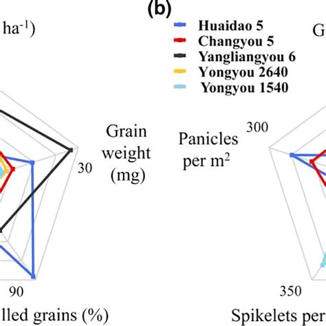 Yield And Yield Components Of Rice Varieties With Different Panicle Download Scientific Diagram