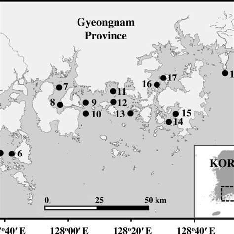 Sampling Stations Of Seawater And Bivalve Shellfish Such As Oysters