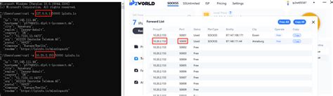 Comprehensive Guide To Using SOCKS Residential Proxy On IP Proxy Manager IP World
