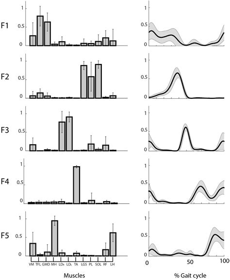 Variance Of Muscle Synergy Gilitlogos