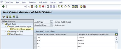 Audit Management Value Text For Audit Object Sap Community