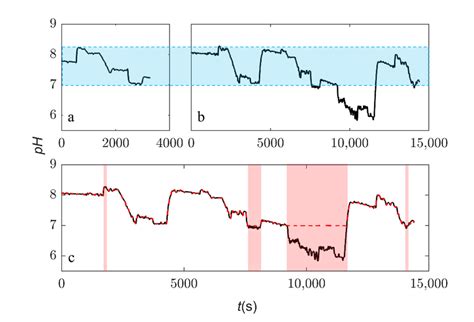 dataset information and original predictions title represents a