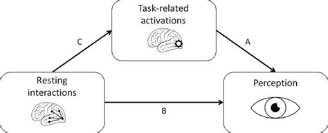 Spontaneous Network Coupling Enables Efficient Task Performance Without Local Task Induced