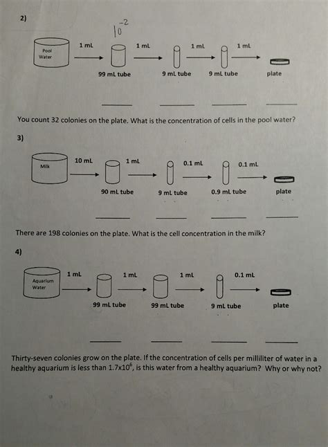 Solved You Count 32 Colonies On The Plate What Is The