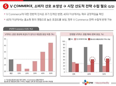 메조미디어 2017 하반기 디지털 광고 And 미디어 이용 행태 리서치
