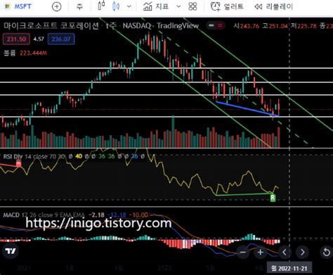 마이크로소프트msft 주가 전망차트적 관점