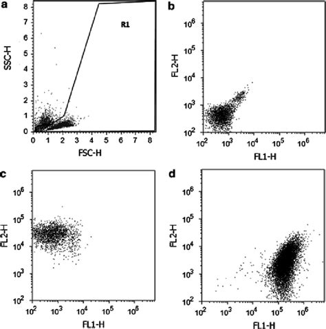 Dot Plots Of Control Non Labeled And Single Labeled Cd4 And Env Download Scientific Diagram